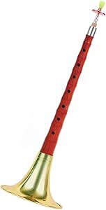 Amazon.com: Professional Suona Mahogany Suona Horn D Tune Suona ...