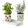 Amazon.com | Lenox 895241 Butterfly Meadow 3-Piece Herb Pots & Tray Set ...