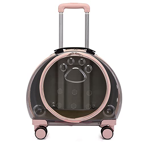 Case Trolley – Die 15 besten Produkte im Vergleich - Ruegeninsel