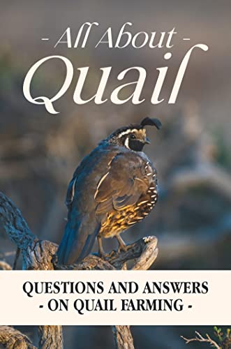 All About Quail: Questions And Answers On Quail Farming , Mounts, Joey ...