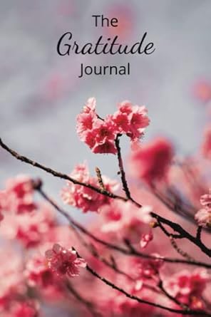 The Gratitude Journal: Lucy, Marie: Amazon.com: Books