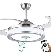 BAYSQUIRREL Retractable Ceiling Fan with Light and Bluetooth Speaker ...