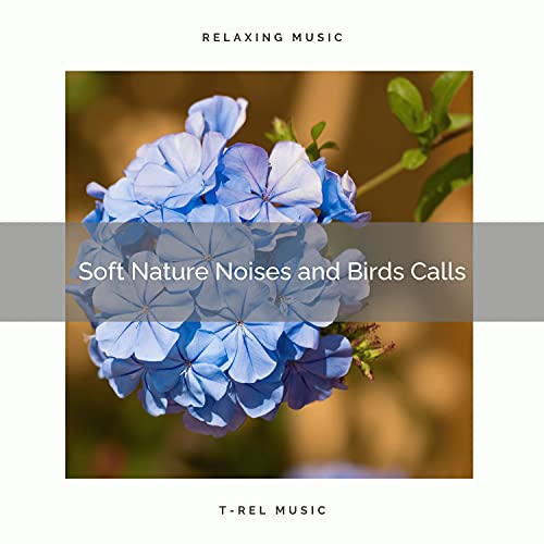 Amazon MusicでNature Sounds Artistsの! ! ! ! ! Soft Nature Noises and ...