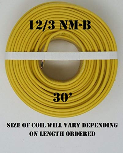 12/3 NM-B x 30' Non-Metallic Electrical Cable: Amazon.com: Tools & Home ...