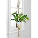 ecofynd Macrame Plant Hanger, Cotton Rope Flower Pot Holder for Indoor ...