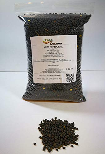 ¿Qué son las semillas de veza? - Mi Hogar