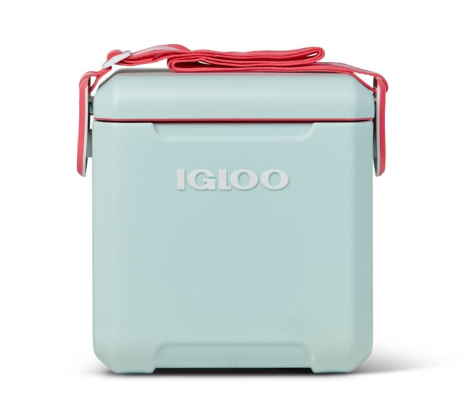 Small Igloo Cooler – The 15 best products compared - Your Motor Guide