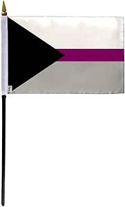 Amazon.com: AGAS Small Demisexual Pride Flag 4x6 inch Flag on a 11 inch ...