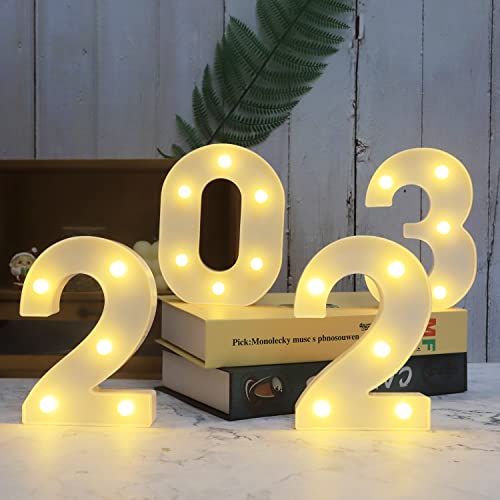 Snapklik.com : Curyidy Graduation Party Decorations 2023Light Up ...