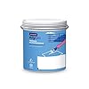 Asian Paints Terrace Coating, Clear Finish 1L : Amazon.in: Home Improvement