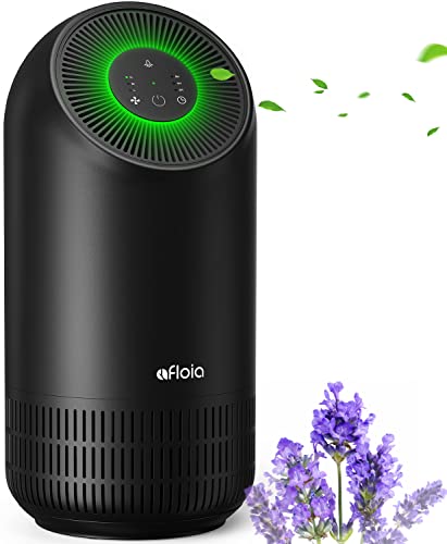 16 Best Air Purifiers for the Kitchen in 2024 - Tastylicious