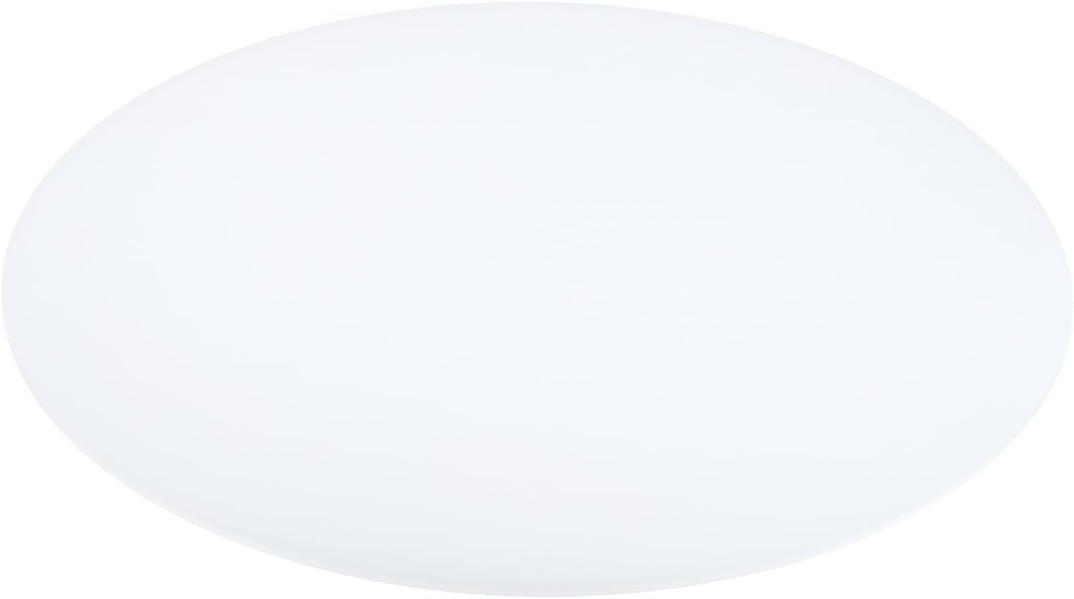 Westinghouse Lighting 81819 Corp 13-Inch Round Glass Diffuser - Close ...