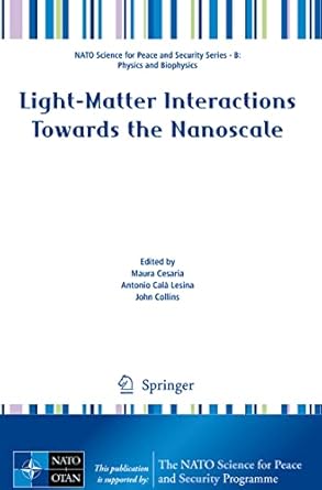 Light-Matter Interactions Towards the Nanoscale (NATO Science for Peace ...