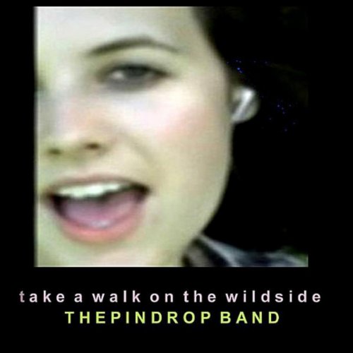 Play Take A Walk On the Wildside by The Pindrop Band on Amazon Music ...
