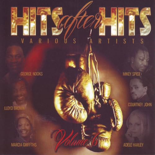 Amazon Music - VARIOUS ARTISTSのHits After Hits Vol. 6 - Amazon.co.jp