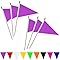 Amazon.com: AuTop 20 Pack Solid Color Plain White Pennant Flags on ...
