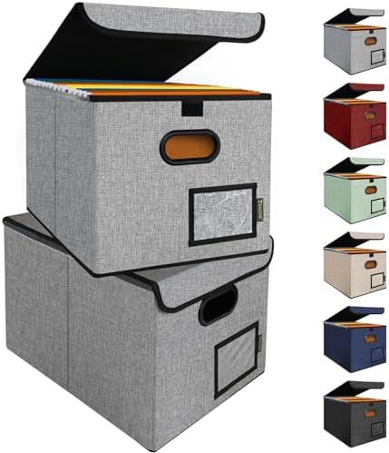 Amazon.com: BALEINE File Organizer Box with Lid, Collapsible File ...