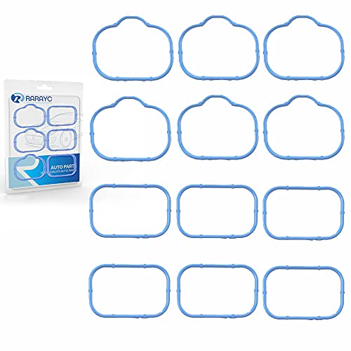 RARAYC Intake Manifold Plenum Gasket Set | Replacement for 3.6L 2011 ...