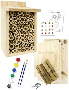 Amazon.com: Nature's Way My First Pollinator House DIY Kits, Club Pack ...