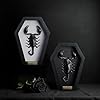 Amazon.com - Real Scorpion Frame Coffin Box Taxidermy Insect Beetle Bug ...