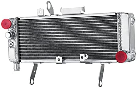 Amazon.com: YoApoio Motorcycle Radiator Compatible with 2003-2008 ...