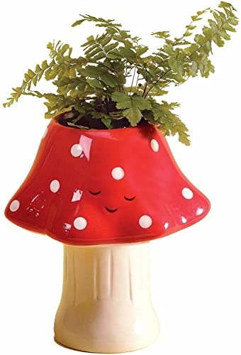 The 30 Best Streamline Imagined Planters of 2024 [Verified] - Cherry Picks