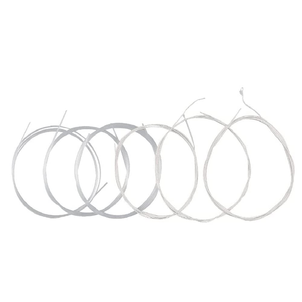 Amazon.com: GOSONO Guitar Strings A108 A103 Clear Nylon Silver Plated 6 ...