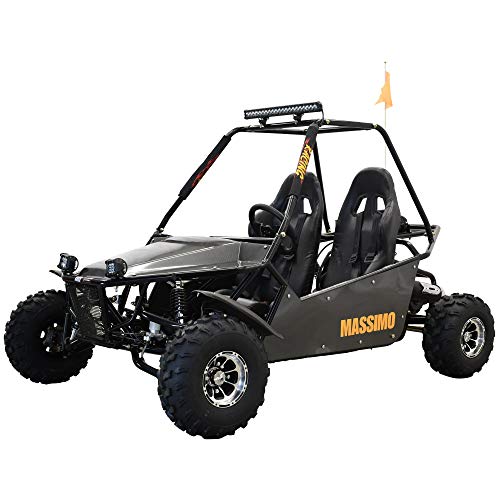 Top 10 Best Gas Powered Go Karts : Reviews & Buying Guide - Katynel