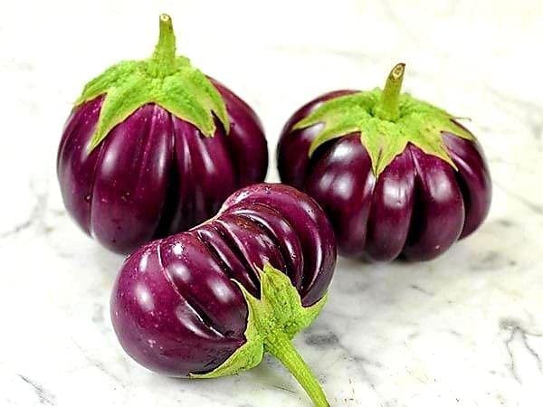 Ritz Farming® Brinjal vegetables seeds | Barbarella Brinjal Seed For ...