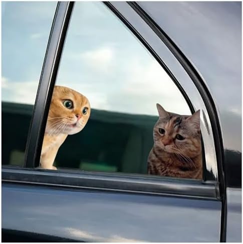 Amazon.com: 2 PCS Car Funny Cat Meme Sticker, Cute Kitten Decals for ...