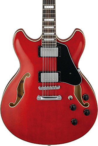 Top 10 Best 12 String Electric Guitar : Reviews & Buying Guide - Katynel