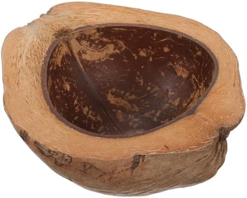 Amazon.com: Coconut Shell Bowls Polished Wooden Bowls Polished Coconut ...