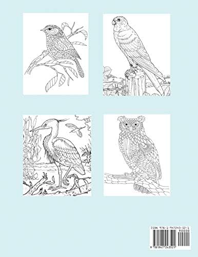British Wildlife Coloring Pages