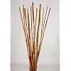 Amazon.com: Green Floral Crafts | Natural River Cane | Pack of 25 (3.5 ...