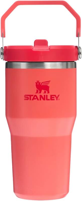 Amazon.ae: Stanley