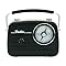 Amazon.com: Portable Radio AM FM Shortwave Vintage Radio, Great ...