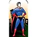 Amazon.com: Superhero Stand in - Stand in Lifesize Cardboard Cutout ...