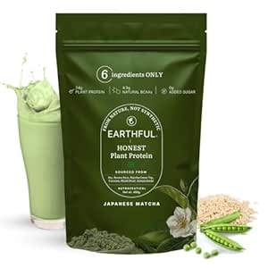 Earthful Honest Plant Protein | 24g Protein per Serving & 4.9g BCCAs | For Weight Management ...