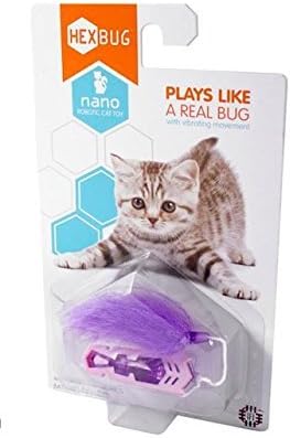 Amazon.com : Hexbug Nano Robotic Bug Cat Kitten Motorized Toy Purple ...