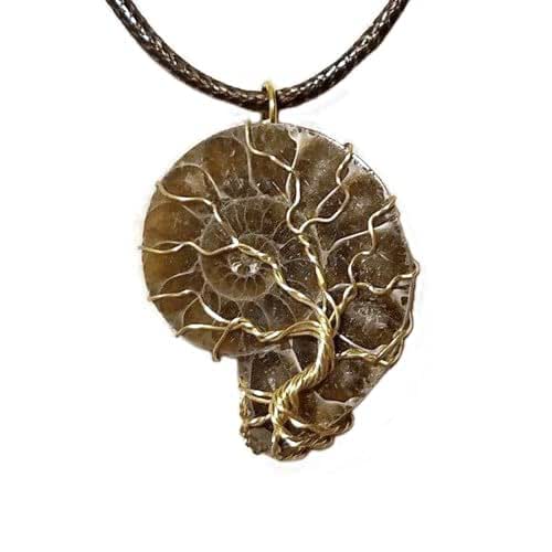 Amazon.com: Tree of Life Ammonite Necklace for Men or Women Wire Wrap ...