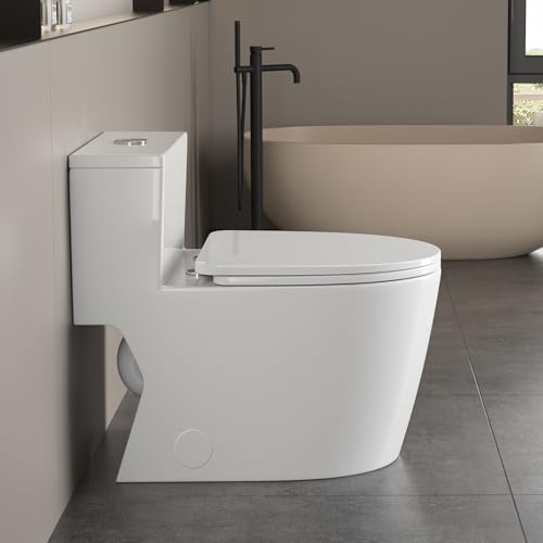 SouNor 10" rough in One Piece Elongated Modern Toilet with Rimless ...
