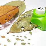 Smiling Leaves - Whimsical Plant Leaf Punch Set | The Green Head