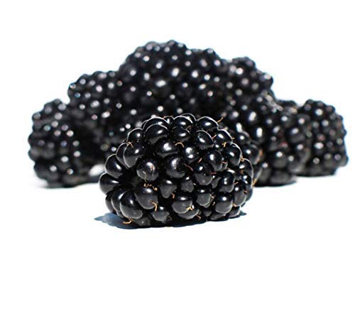 White Blackberry Fruit