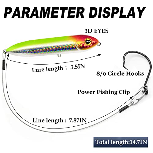 Snapklik.com : Catfish rig,Demon Dragon Catfish Floats,Santee Cooper ...