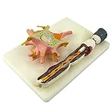 ・製造元:UOHUFIDABFD・製造元/メーカー部品番号:PAtjf*9608・Lab supplies: PVC material does not have to worry about being broken by student...