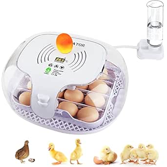 Amazon.com: Incubators for Hatching Eggs,Safego 16-30 Eggs Incubator with Automatic Turner ...