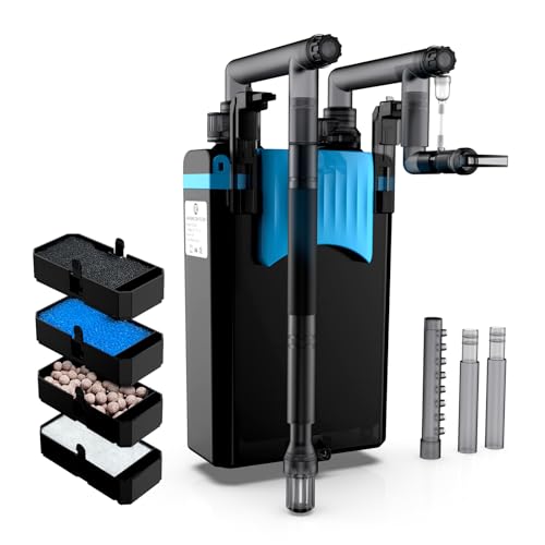 8 Best Hob Aquarium Filters of 2026