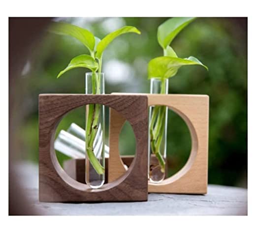 Decorous Shoppee- Let's Decor Wooden Tabletop Planter Holder/Test Tube ...