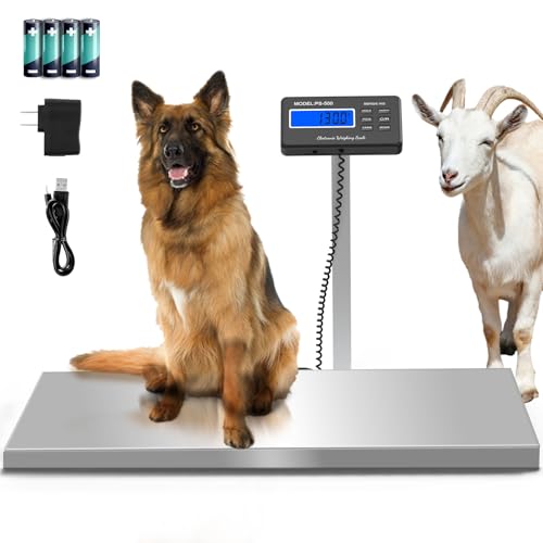 Best Livestock Scales for Cattle: Accurate, Durable Options for Farm ...