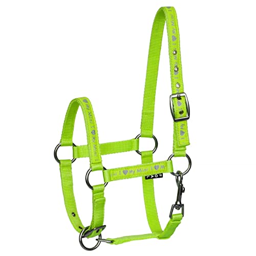 Melhores cabresto para potro que Você Deve Conhecer em 2025!